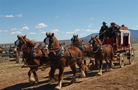 Stagecoach Night At The Museum Wiki
