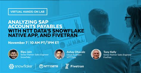 Analyzing Sap Accounts Payables With Ntt Datas Snowflake Native App And Fivetran
