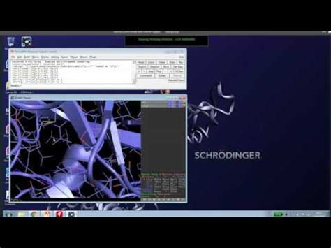 PyMOL Open Source BioGrids Consortium Supported Software
