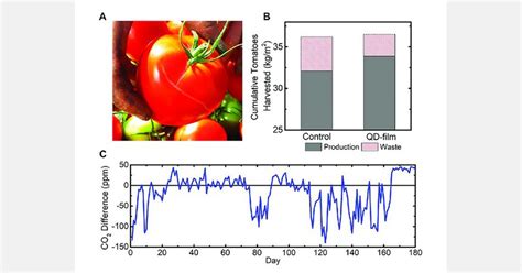 Luminescent Quantum Dot Films Improve Light Use Efficiency And Crop