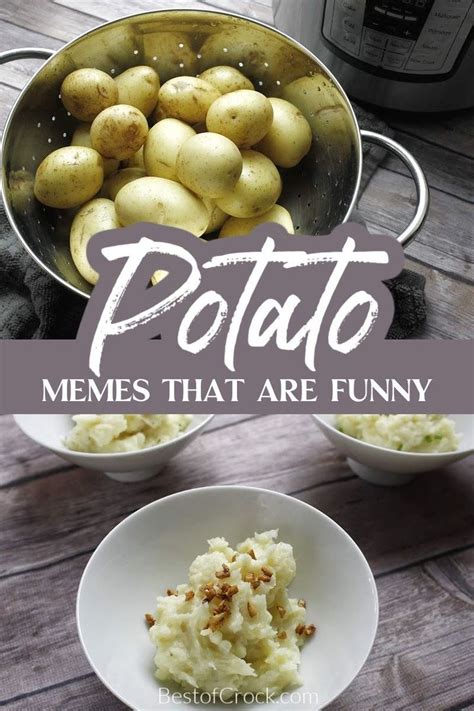 Hilarious Potato Memes To Make You Laugh