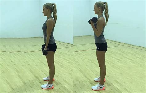 Top 16 Biceps Exercises For Women A Step By Step Guide