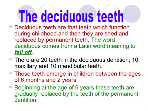 07 The Deciduous Teeth Dentition Ppt