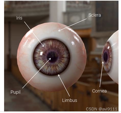 0基础unityurp渲染管线人物渲染皮肤头发眼睛各向异性sss之实践human Shader Pack Csdn博客