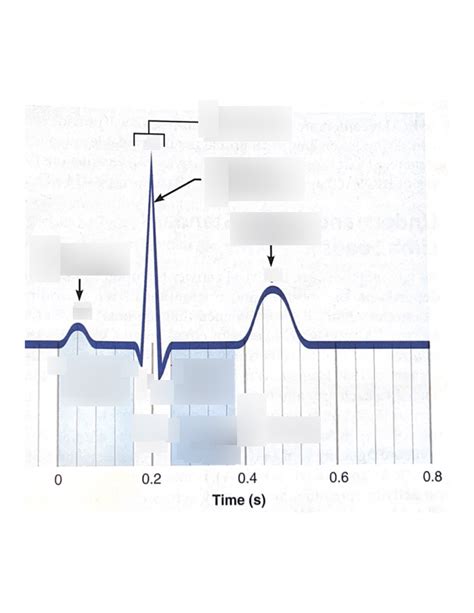Ekg Wave Diagram Quizlet