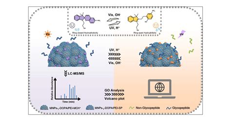Light Ph Regulated Spiropyran Smart Responsive Hydrophilic Separation Platform For The