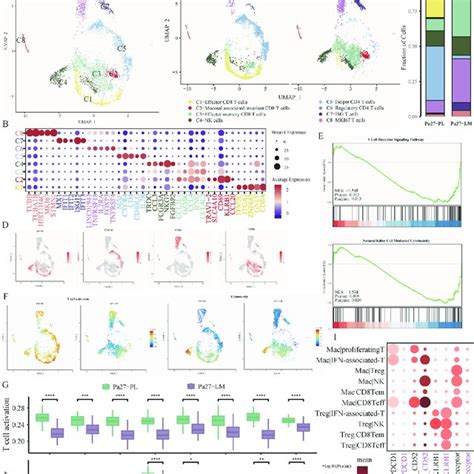 The Scrna Seq Profiling Of Tnk Cells In Paired Pl And Lm A Uniform Download Scientific
