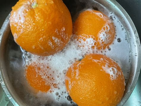 빨간 오렌지 ~ 카라카라 오렌지 즐기는법