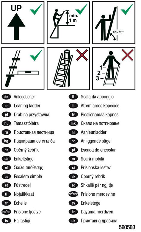 Label Information Leaning Ladders Pu 5
