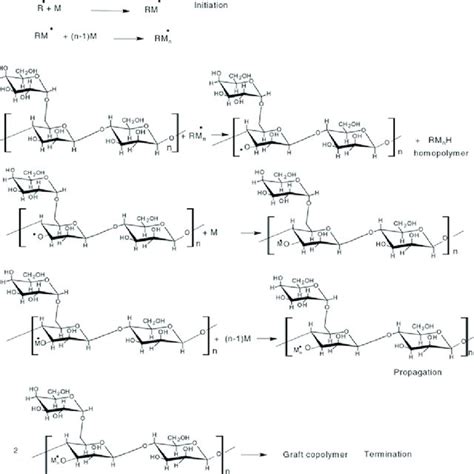 Pdf Grafting Polymers