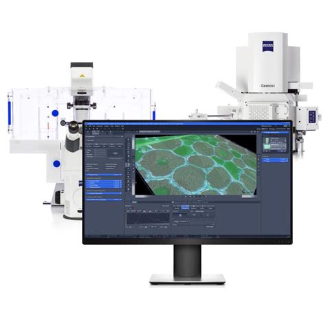 蔡司zen Correlative Array Tomography
