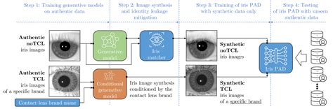 Privacy Safe Iris Presentation Attack Detection Ai Research Paper Details