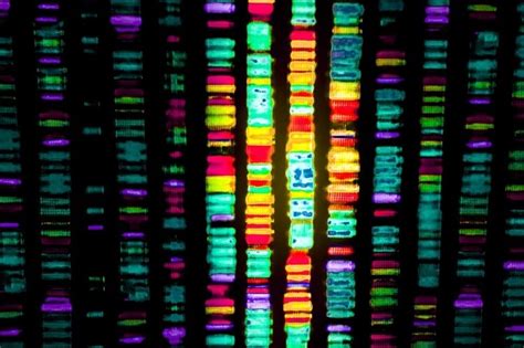 What Are The Differences Between Genotyping And Dna Sequencing