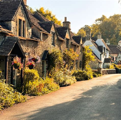 A Street Lined With Houses In A Rural Area Photo Free Plant Image On