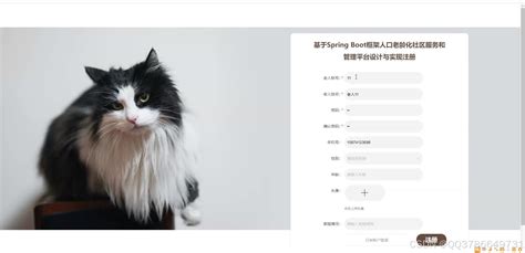 基于springbootvue的人口老龄化社区服务和管理平台系统程序文档讲解 Csdn博客