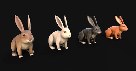 mobile rabbit 3d 生物 unity asset store