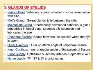 Eyelid Infections Ppt Pptx