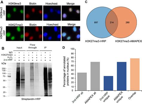 Figure 3 From Defining Proximity Proteome Of Histone Modifications By Antibody Mediated Protein