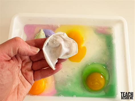 The Rubber Egg Science Experiment Teach Beside Me