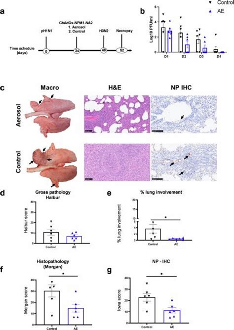 Christopher Ring On Linkedin Aerosol Immunization With Influenza