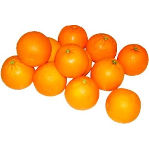 Vendita Arance Valencia Cat 1 Cal 5 6 Spagna Allingrosso Arance All