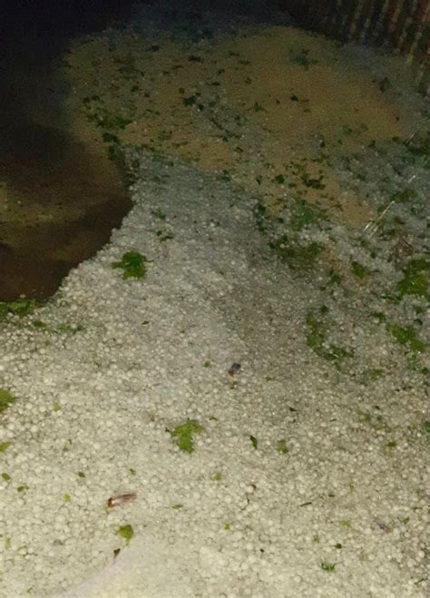 კახეთში უამინდობამ პრობლემები შექმნა