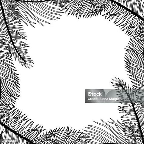 라인 열 대 야자수 잎 사각형 프레임 흑백 벡터 일러스트 레이 션 잉크 나뭇 가지와 가지 엽서 초대장 배너 또는 포스터에 대 한 정글 꽃 라벨 템플릿 Sukkoth