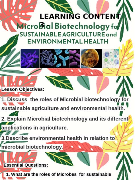 Role Of Microbial Biotech For Sustainable Agriculture And Environmental