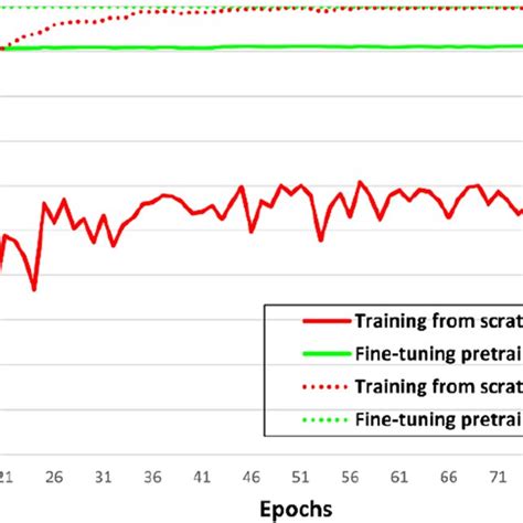 training from scratch vs fine tuning pretrained network utilizing