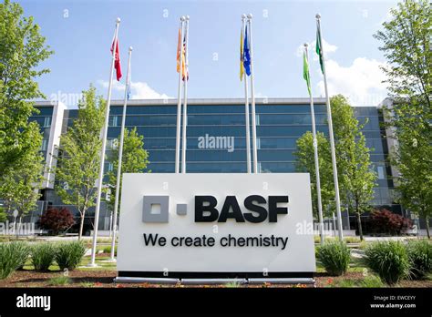 Basf Logo