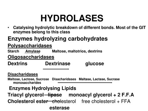 Ppt Enzymes Powerpoint Presentation Free Download Id 458881