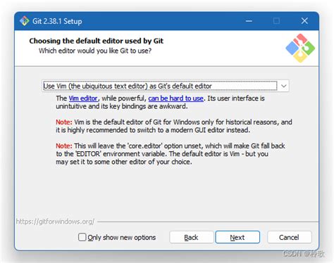 windows安装配置git教程（2022 11 18 git2 38 1） git windows安装配置 柃歌的博客 csdn博客