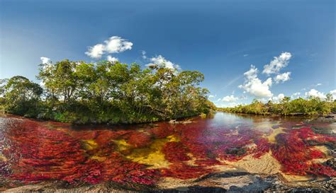 Caño Cristales Unieke Kleurrijke Rivier In Colombia Hoe Kom Je Er