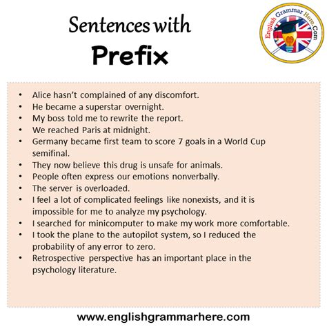 Sentences With Prefix Prefix In A Sentence In English Sentences For