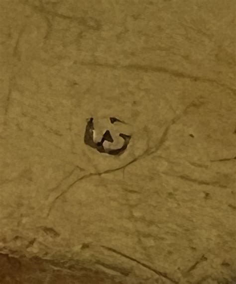 Help Identify Worn Hallmark Makers Mark On 1950s Watch Band Case Is