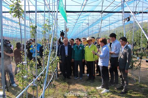 하늘보고 농사짓는 시대는 끝 이제 Ai가 농부다안동서 전국최초 사과스마트팜 공개 하늘보고 농사짓는 시대는 끝 이제 Ai가 농부다안동서 전국최초 사과스마트팜 공개
