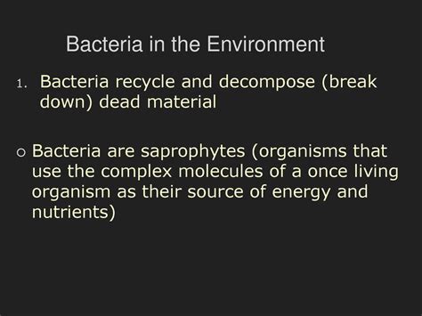 Kingdoms Eubacteria And Archaebacteria Ppt Download