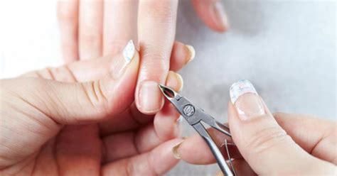 손톱이 발톱보다 빨리 자라는 이유는