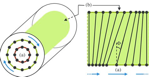 Scintillating Fibers Disposition In The Phantom Blue Arrows Indicate