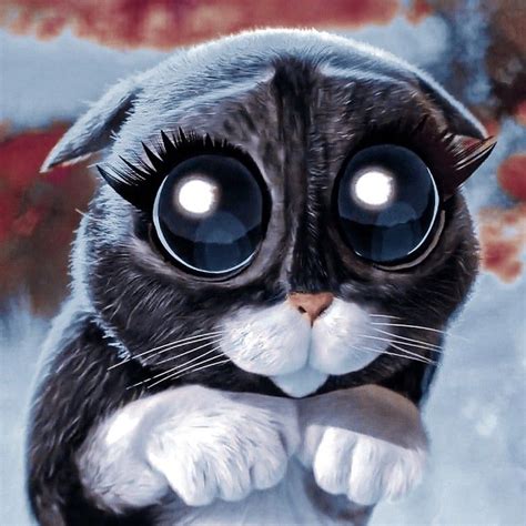 Kitty Patitas Suaves Icons