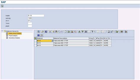 solved message type x dump while clicking execute button sap
