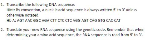 Solved 1 Transcribe The Following Dna Sequence Hint By