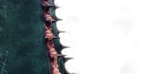 Edit Album On Imgur Edit Album On Imgur