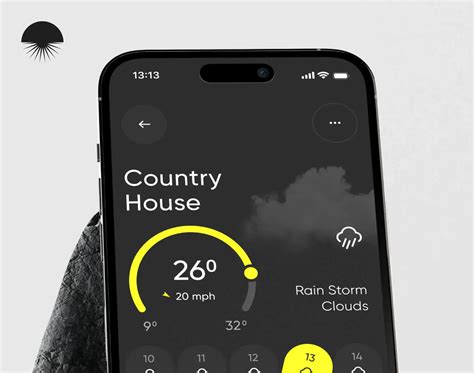 Ambient Weather Project Branding And Ux Ui Design Trial Example