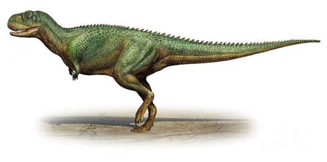 Discover 91 Abelisauridae Paleoart Ideas On This Pinterest Board