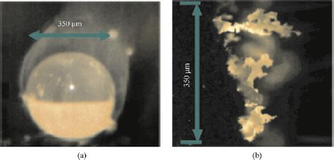 A Magnified View Of A Single Spherical Agglomerate Of Mal In
