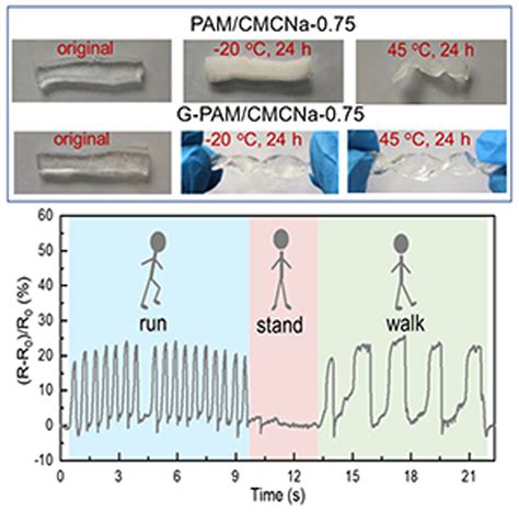 Outstanding Temperature‐tolerant Conductive Polyacrylamidesodium Carboxymethylcellulose