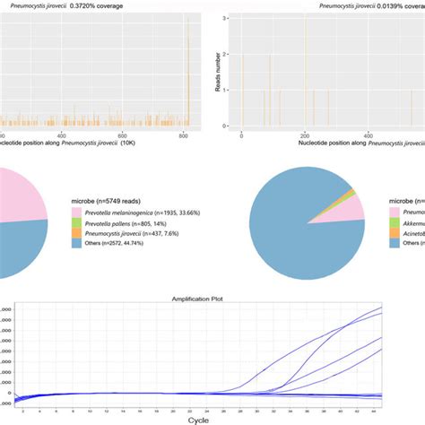 The Results Of Mngs And Qpcr A Coverage And Reads Number Of Detected Download Scientific