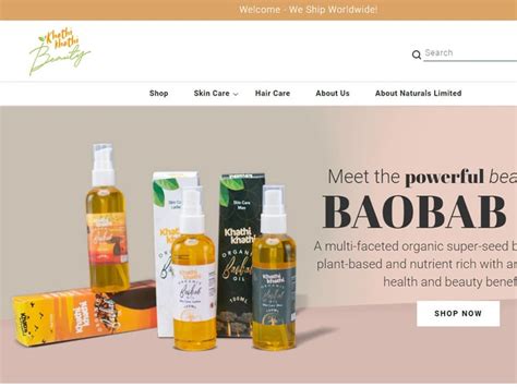 A Shopify Expert Developer Shopify Store Designer Shopify Custom