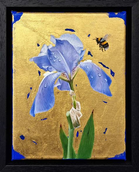 Bearded Iris By Clive Meredith At Norton Way Gallery